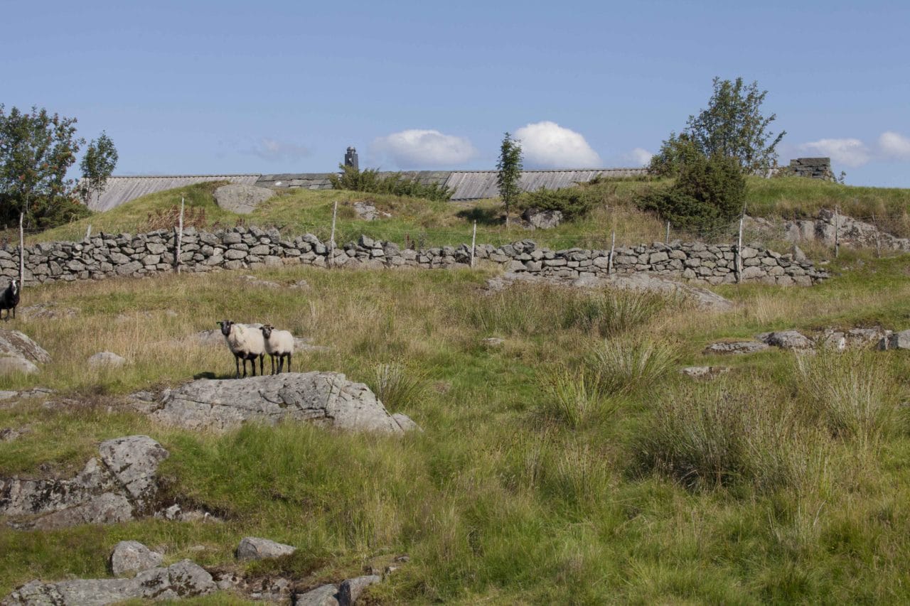Lyngheisenteret på Lygra - Arkitektgruppen Cubus